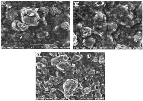Sem Images Showing Membrane Surface Of A Original Unused Pu Ptfe B Download Scientific