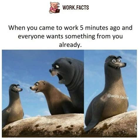 50 Funny Memes To Help You Get Through The Work Day Bored Panda