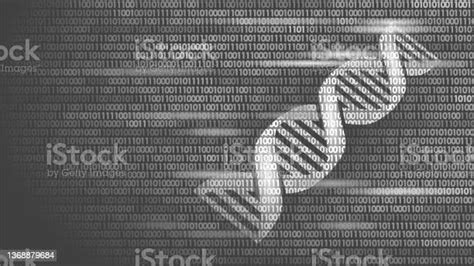 Dna Binary Code Future Computer Technology Concept Genome Science Structure Modified Gmo