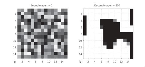 Input Pattern A And Stable Output Pattern Generated By The Sr Cnn