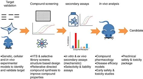 Principles Of Early Drug Discovery PMC