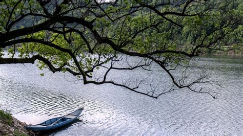 River Water Riverside Wave Powerpoint Background For Free Download