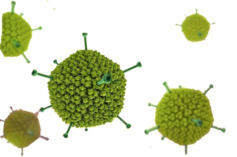 Thế Nào Là đau Mắt đỏ Dr Psy Việt Nam