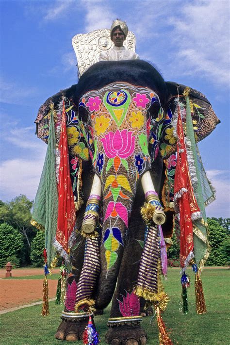 Indian Elephant Decorated Art