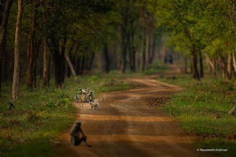 Navaneeth Krishnan On Linkedin While Rushing Through The Park
