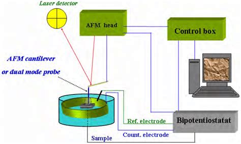 8 Scheme Of Ec Afmsecm Experiment Set Up Download Scientific Diagram