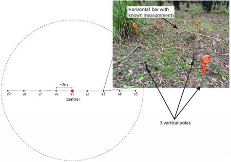 Diagram Of Transect And Plot Layout For Image Capture Showing The