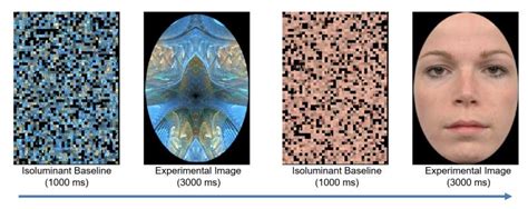Learn About Eye Tracking For Pupillometry Fast Accurate Reliable Eye Tracking