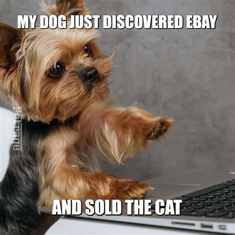 Yorkie Ebay Meme