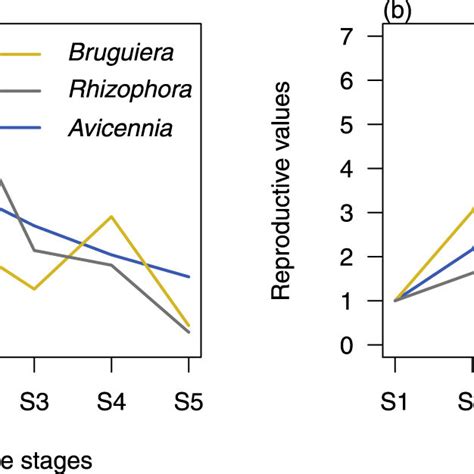 A Stable Stage Distribution And B Reproductive Values For Three