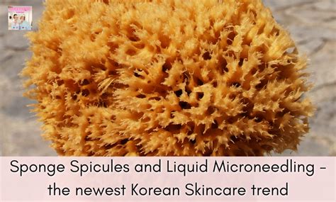 Sponge Spicules And Liquid Microneedling The Newest Korean Skincare Trend Lindsey Holder