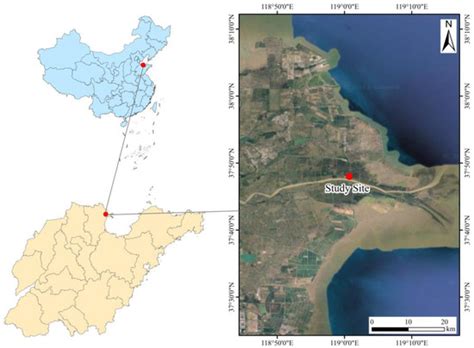 Soil Nutrient Distribution and Preferential Flow Transport Patterns in Robinia Pseudoacacia ...