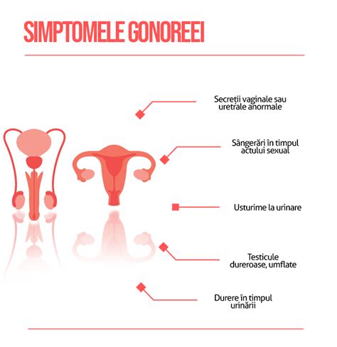 Gonoreea Sculament Cauze Simptome și Tratament Medic Chat