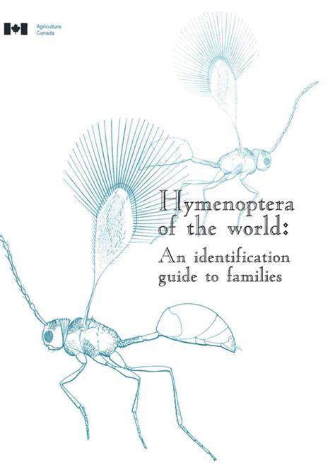 Pdf Hymenoptera Of The World An Identification Guide To Families