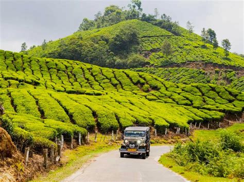 Things To Do In Vagamon Adventure Activities And Offbeat Experiences