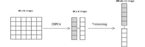 Scheme Of Constructing Feature Vectors Download Scientific Diagram