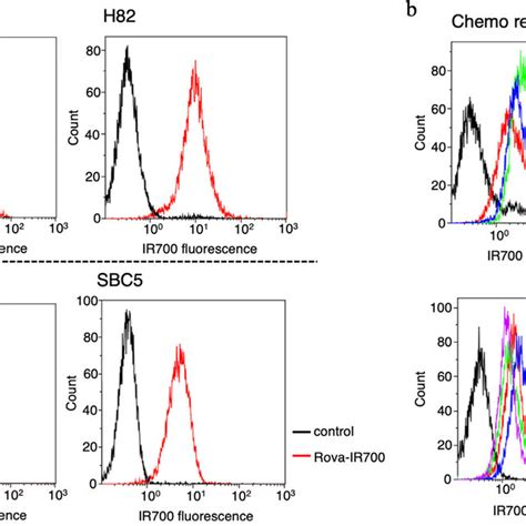 Dll3 Expressions In Various Cancer Cell Lines A Examination Of Dll3 Download Scientific