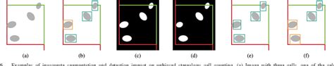 figure 6 from a review of nuclei detection and segmentation on