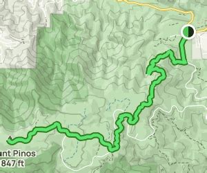 Mount Pinos Via Mcgill Trail 270 Reviews Map California Alltrails