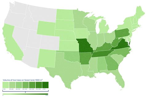 Notes Of Oak American Forests