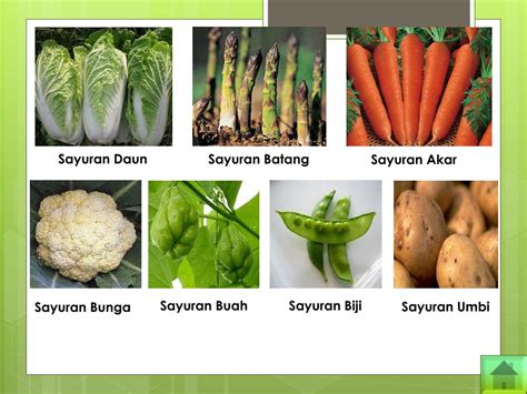Ppt Buah Dan Sayur Powerpoint Presentation Free Download Id 1842472