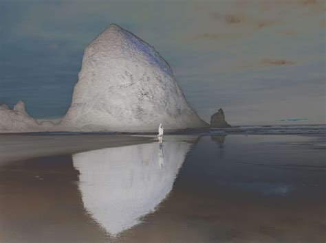 Richard Misrach Dancing With Nature Jackson Fine Art