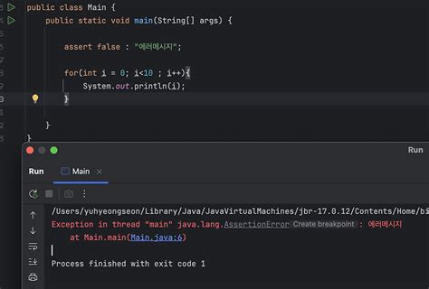 Java 단언문 Assert — 나는 개발자가 될거야