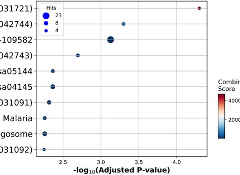 Gsea And Pathwaygo Enrichment Analyses — Hemtools Latest Documentation