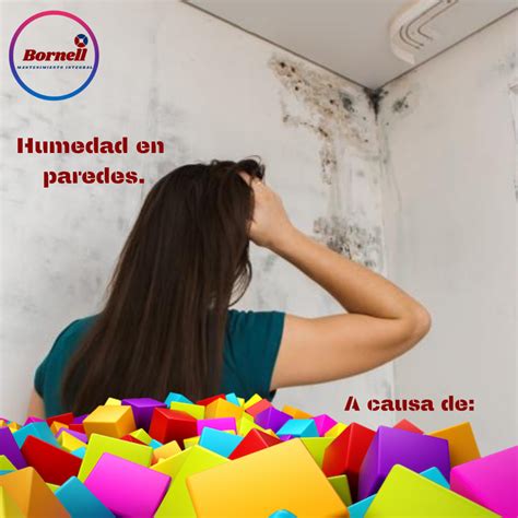 Las Fugas O Mantenimiento Integral Bornell 77