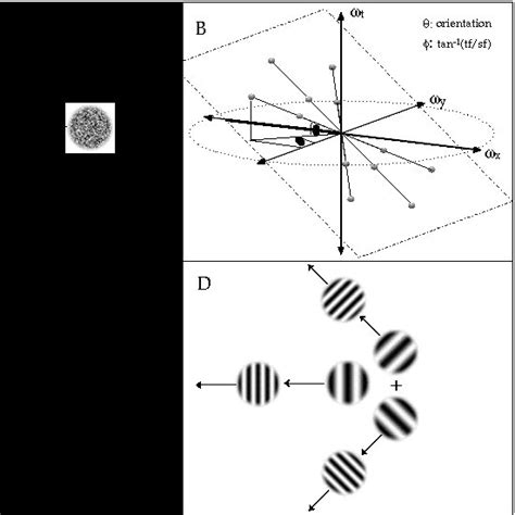 2 The Average Spatial And Temporal Frequency Structure Of Both The Download Scientific Diagram