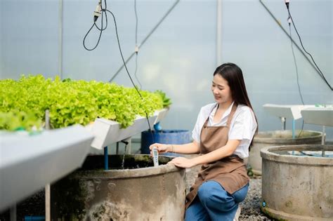Premium Photo Researcher Are Checking With Ph Strips In Hydroponic