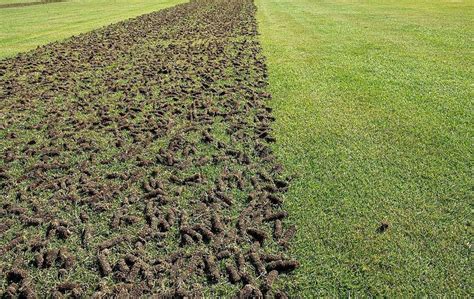 Lawn Care Services Lancaster County Ne A1 Aerating