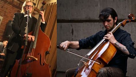 Violoncelle Vs Contrebasse Quelles Sont Les Différences