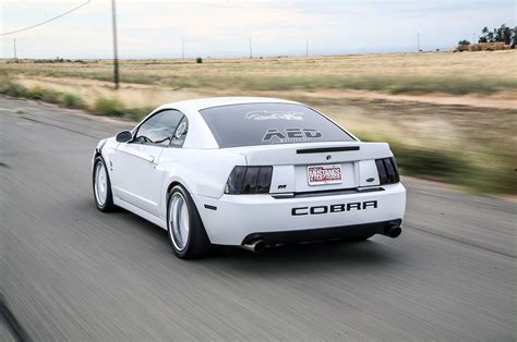 🔥 30 2003 Ford Mustang Cobra Terminator Wallpapers Wallpapersafari