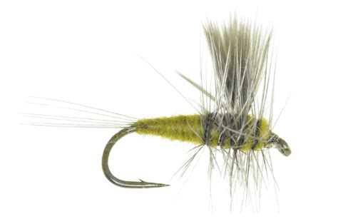 Pmd Fly Patterns 10 Top Pale Morning Dun Flies 2025