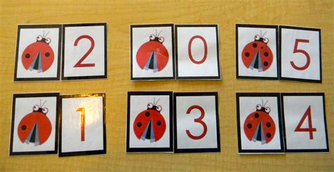 Ladybug Math Early Math Counts