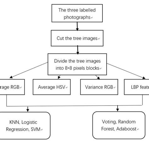 The Diagram Of The Tree Categorization Work Download Scientific Diagram