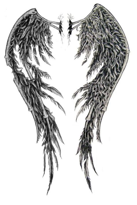 Fallen Angel Wings Edited By Swarzeztier On Deviantart Fallen Angel