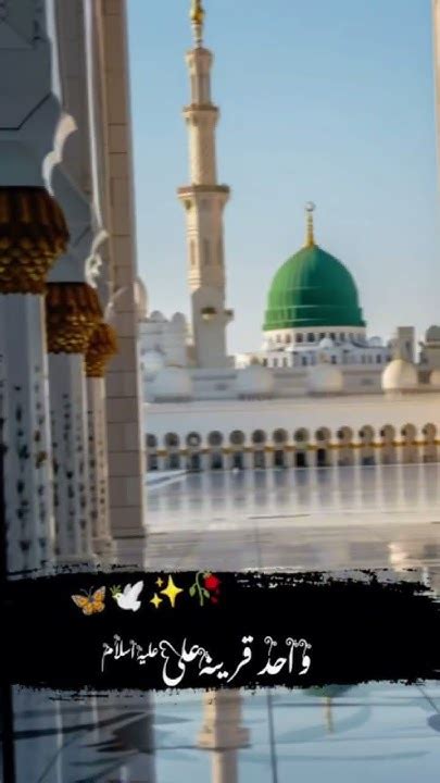 ہے محمدص میرا دل تو سینا علی Newvideo Shorts Youtubeshorts Youtube