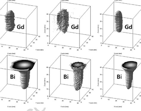 3d Rendered Images Based On The Xrf Measurement 6 Download