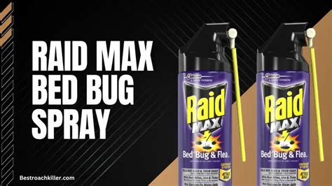 Raid Max Bed Bug Spray Reviews Insiders Glimpse