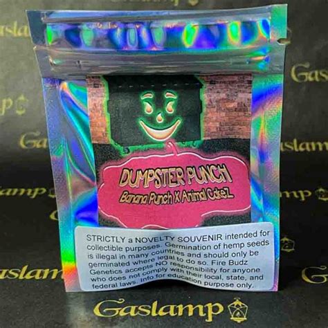 Firebudz Genetics Dumpster Punch 10 Regular Seeds Gaslamp Seeds