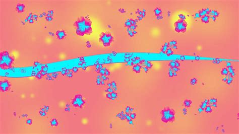 Fizzydizzyart Edit By Fizzydizzyart On Deviantart