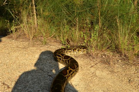 數位典藏平台 By 國立自然科學博物館