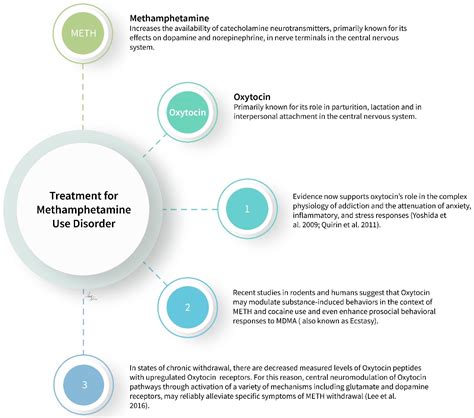 Oxytocin A Novel Treatment For Methamphetamine Use Disorder