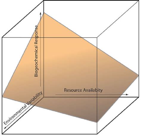 Due To The Microbial Dynamics Outlined In The Text Predicted