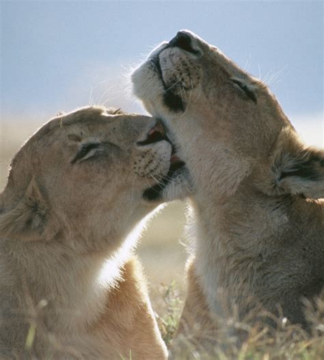 Willow Defebaugh Atmos