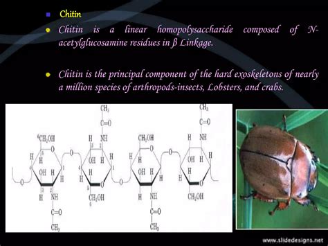Sugar Classification And Reaction Ppt