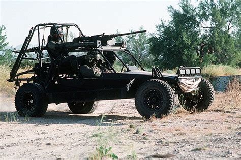 Seal Dune Buggy