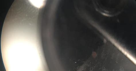 Magnifying A Magnifyer Magnifying A Magnifyer Imgur